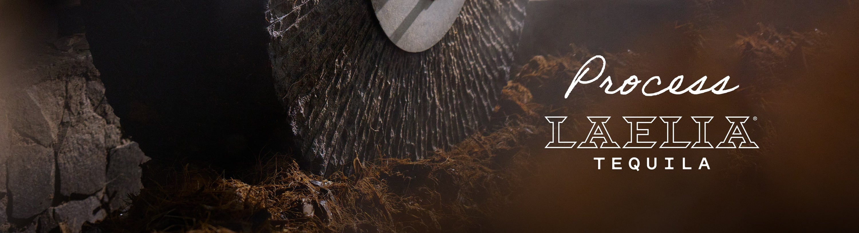 LAELIA Tequila – Tequila Laelia